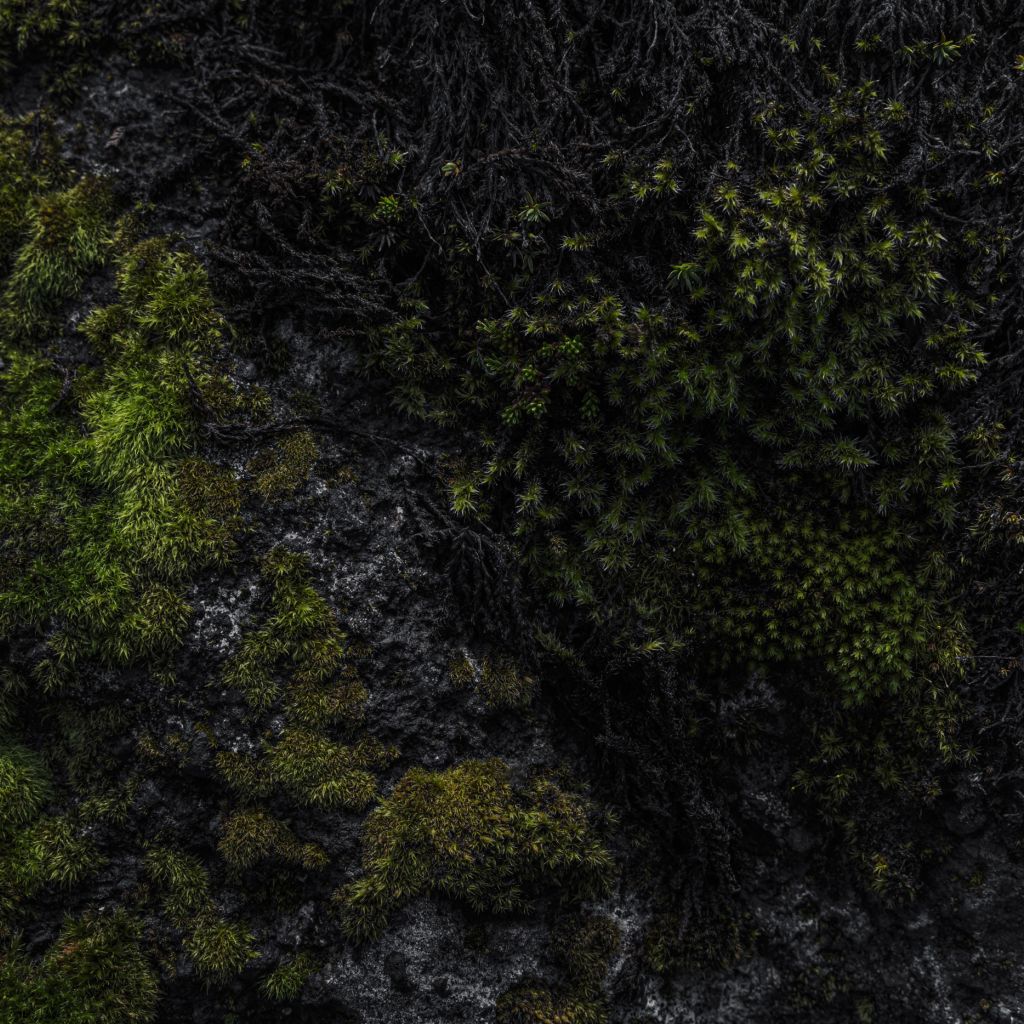 Press releases | Spinnova